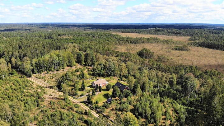 Desolate Forest Estate - Markaryd