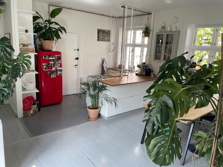 Tropisk Lejlighed Tæt På Alting - Copenhague