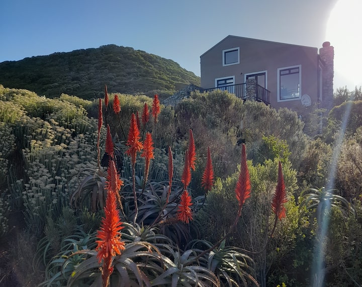 Peaceful Seaside Cottage - Pringle Bay
