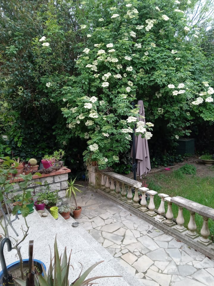 Maison 1940 Avec Jardin Proche Centre -Parking - Montpellier