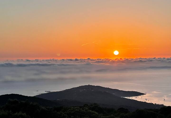 Corsica Natura  #2 - Serra-di-Ferro