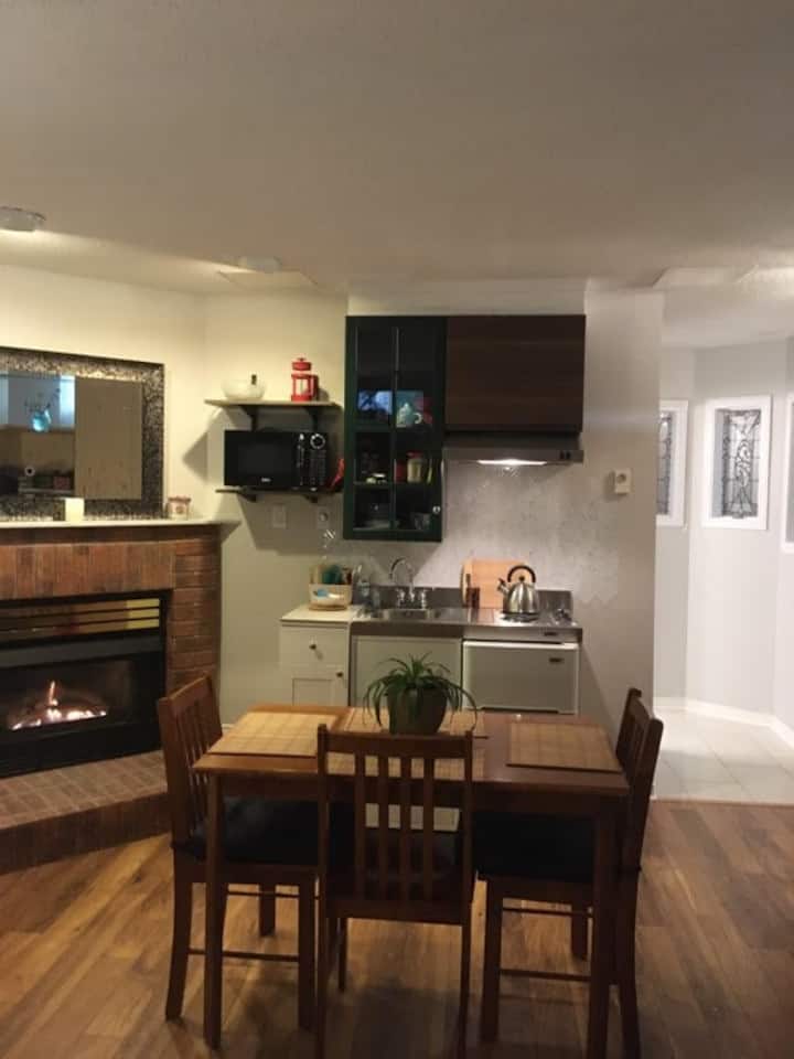 Private Oasis. Kitchenette, Fireplace, Bathroom. - Ottawa