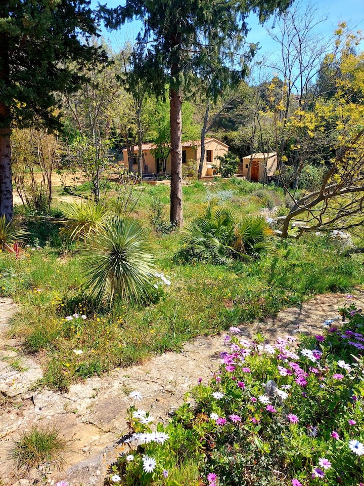 Cabanon Avec Piscine Partagée - Ollioules