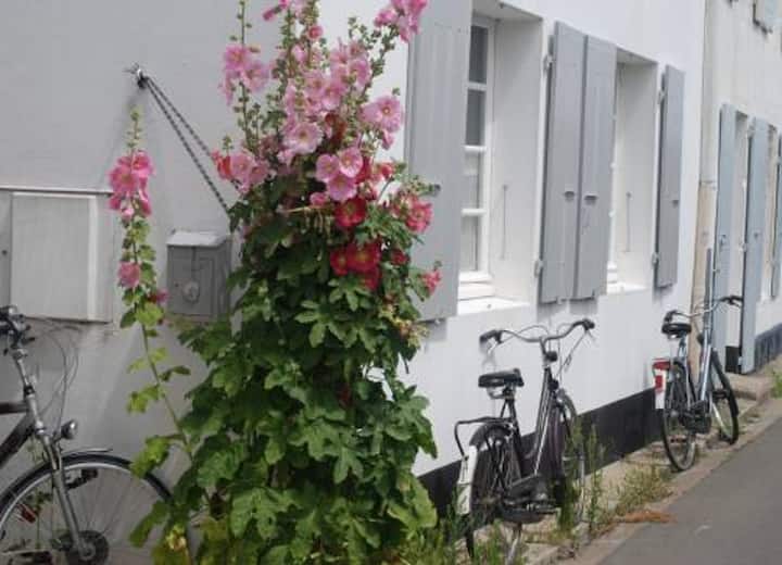 "La P'tite Trousse" Charmante Maison De Village - Île de Ré