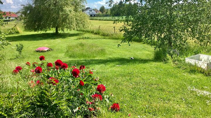 Manternach Vacation Rentals & Homes - Grevenmacher, Luxembourg | Airbnb