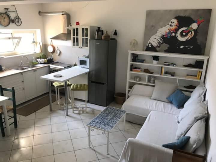 Casa Gorilla - Sabaudia