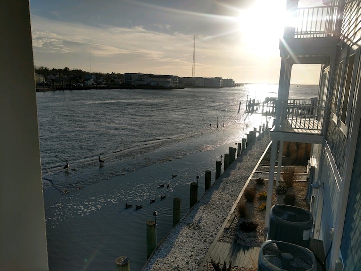At Sea Gate "Life Is Really Better On The Water". - Chincoteague, VA
