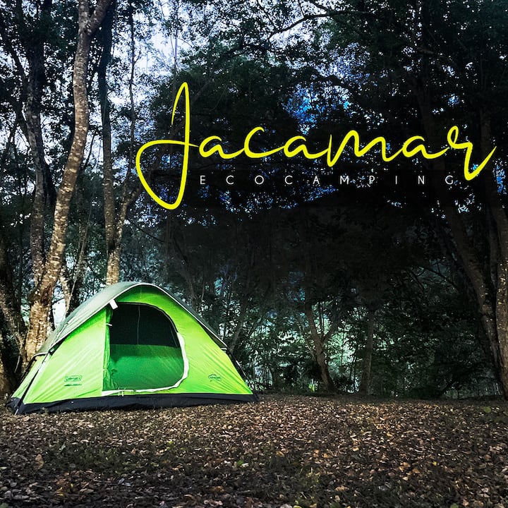 ¡Vamos A Acampar! - Nimaima