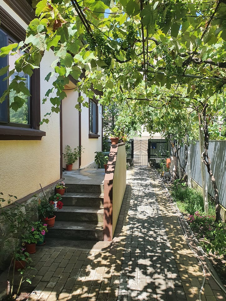 Căsuța Lui Ion - Sulina