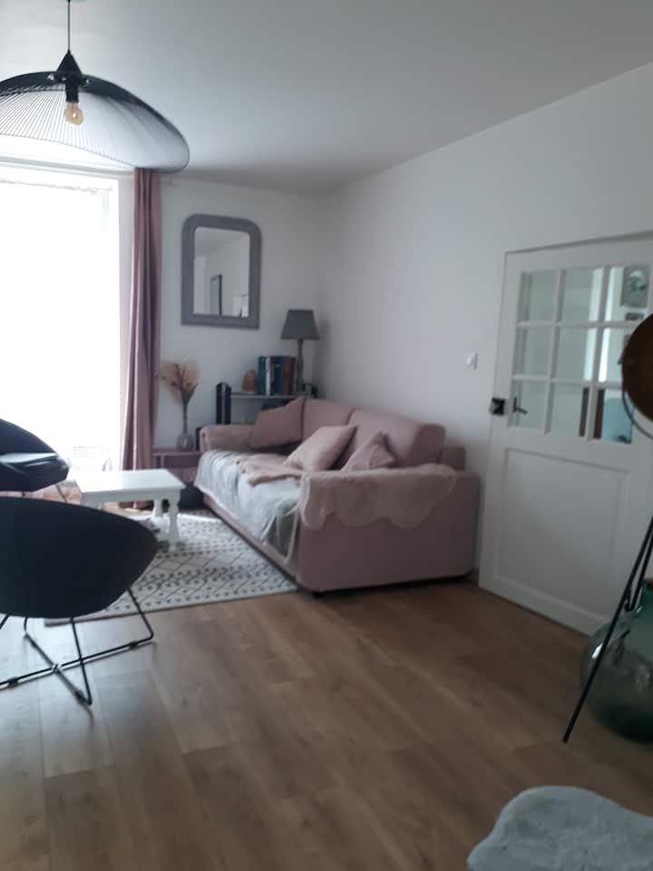 Agréable Suite Parentale Et Salon Privés - La Roche-Posay