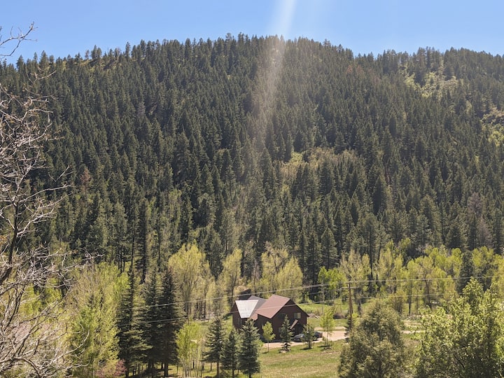 Design Cabin In The Forest Near Historic Downtown - Durango, CO