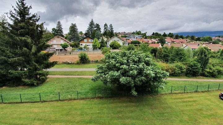 Superbe Appartement Dans Lieu Calme - Annecy