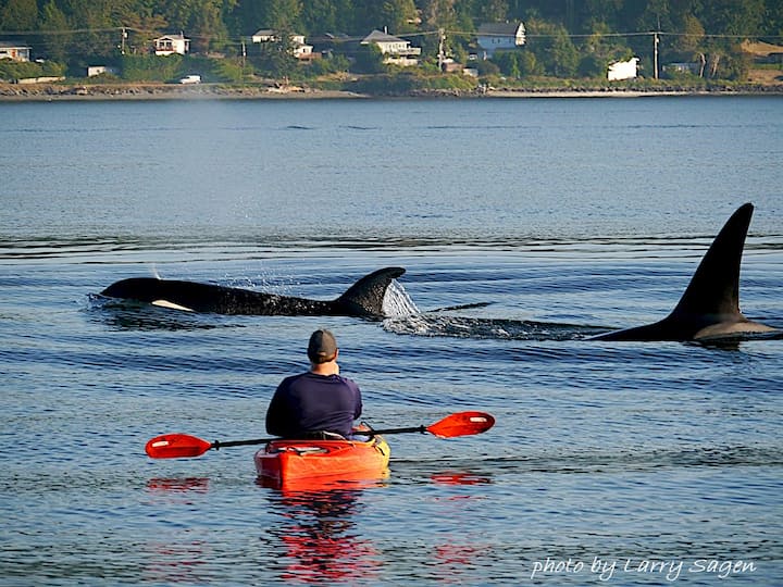 Beach Home W/king & Queen + Wi-fi + Seattle Ferry - Bremerton, WA