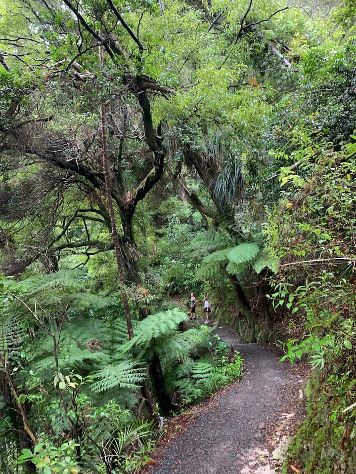 Comfortable Cottage - Whangārei