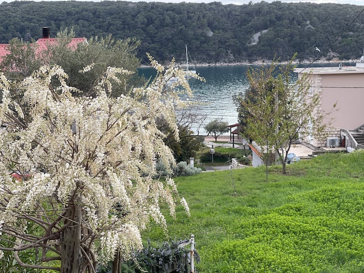 Prostran I Komforan Stan Na Predivnoj Lokaciji - Lopar