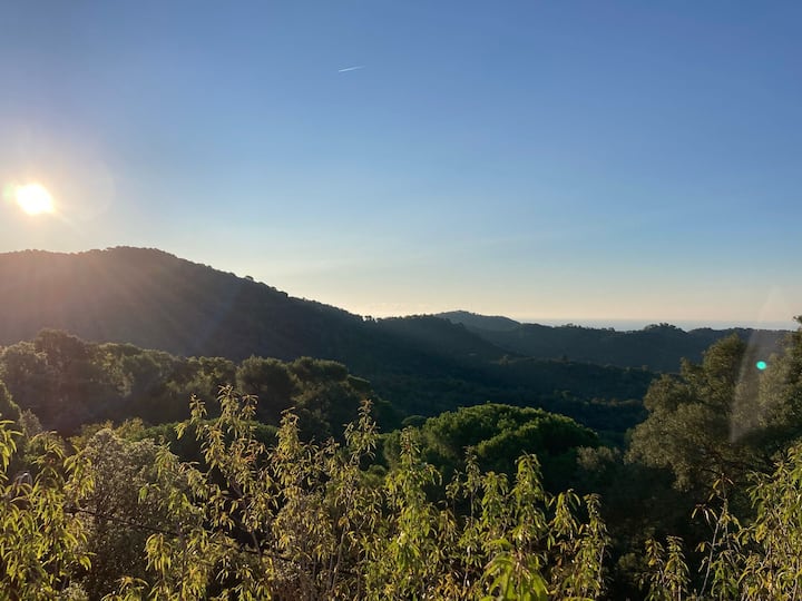 Casa En Los Bosques, Con Jardín, A 20' De La Playa - Calella
