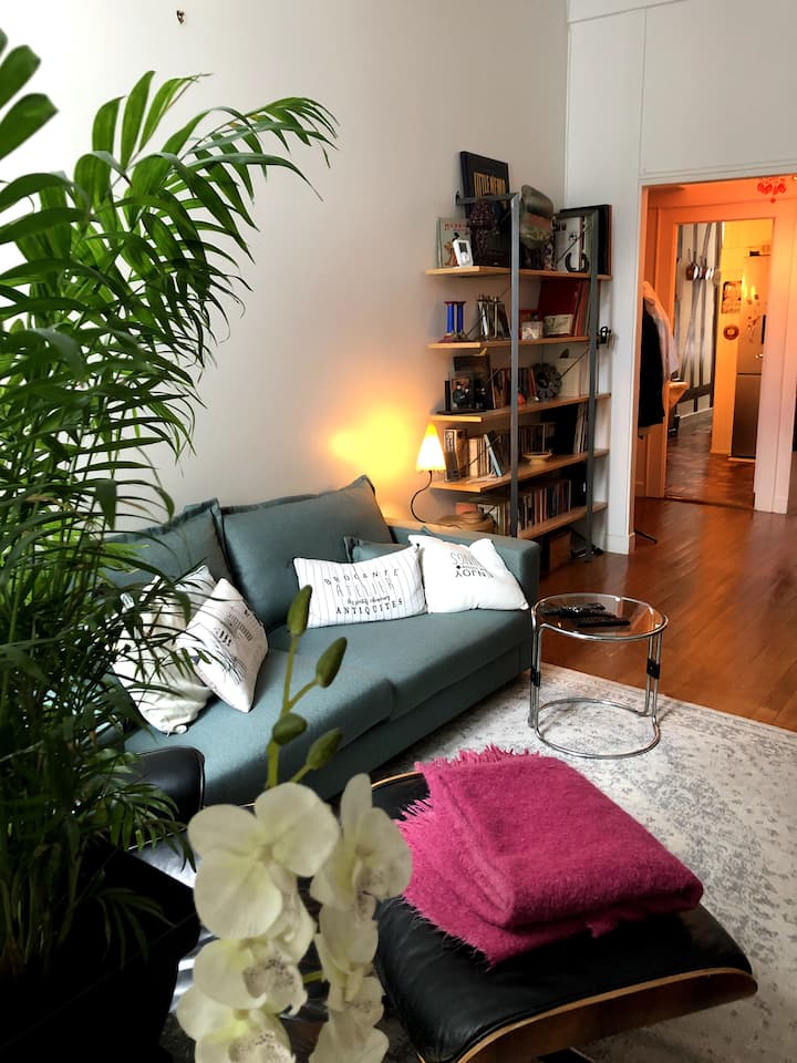 Bel Appartement De Charme Au Quartier Latin - Paris