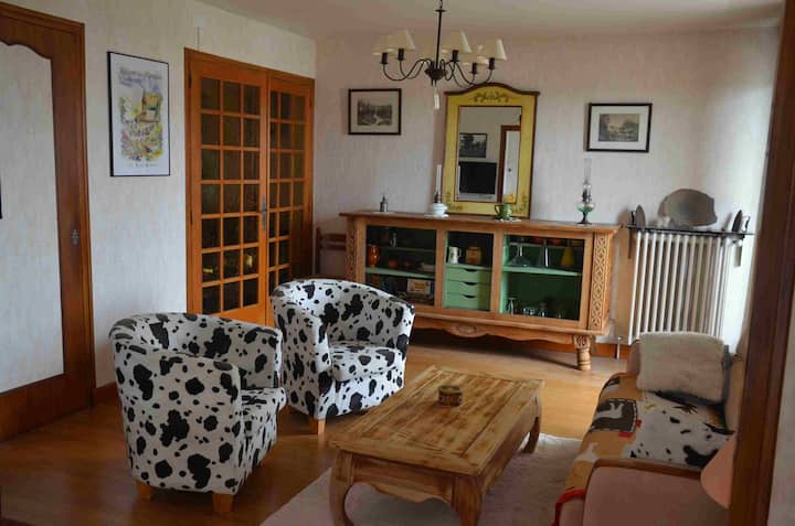 Appartement Lumineux Balcon Avec Vue - Argonay