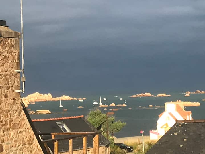 Vue Panoramique Sur Mer :2 Personnes Et Plus - Trégastel