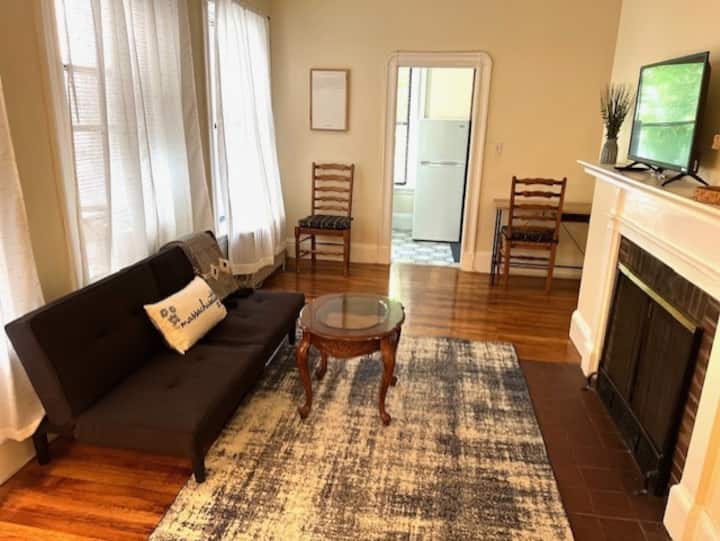 Lovely 1 Bedroom Apartment In Downtown Boston - Boston, MA