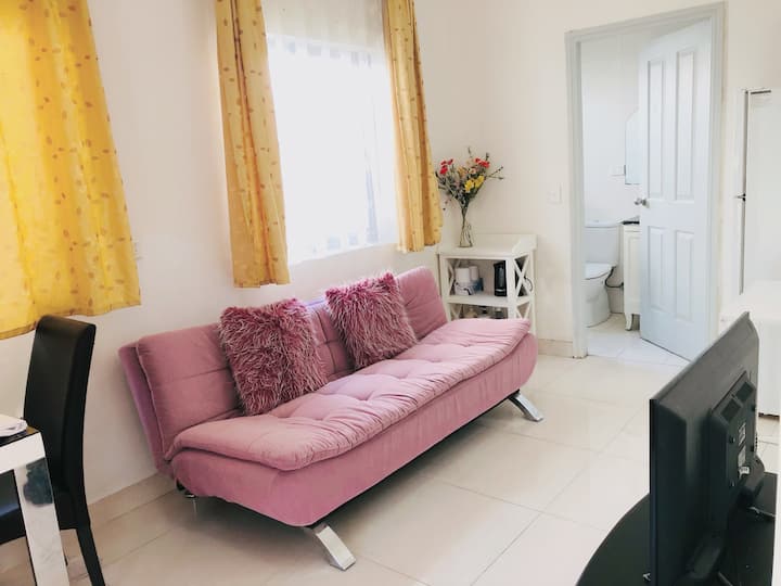Two Room Garden Suit Near Sydney Airport - Lewisham