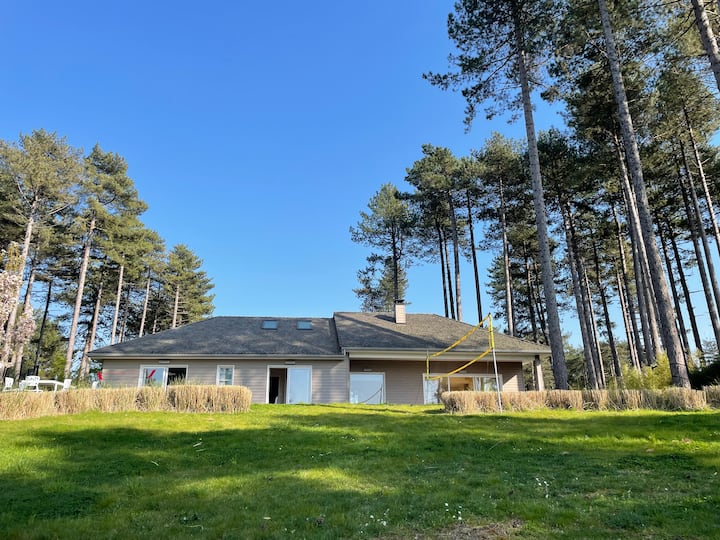 Magnifique Villa Sur Hardelot Plage - Hardelot-Plage