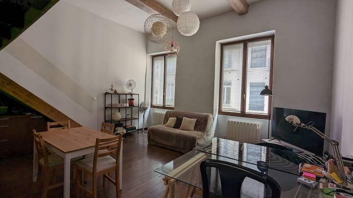 Duplex, Lyon 7ième, Proche Métros B Et D, Tram 1 - Lyon