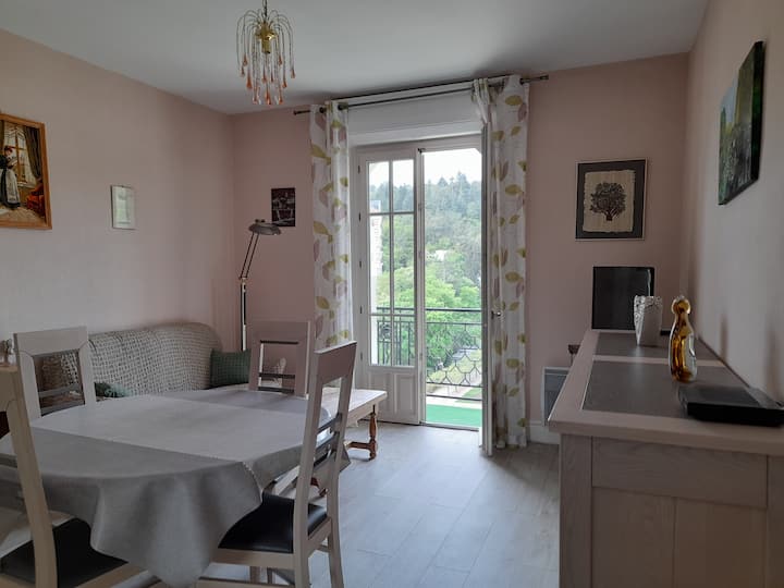 Appartement Proche Des Thermes - Châtel-Guyon