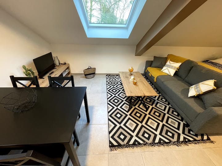 Charmant Studio3 à 50 M Du Lac Léman - トノン