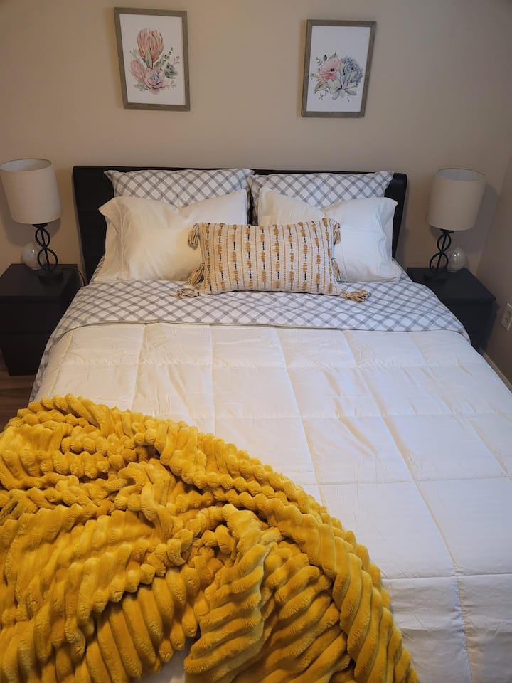 Cozy 1bdrm Apt Near Byward Market. - Ottawa