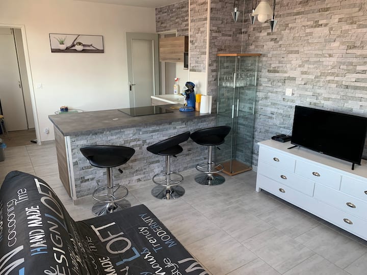 Bel Appartement Rénové, Proche Gare, Iut, Hôpital - Mably