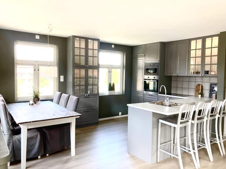 Large Central Apartment In Trondheim, With Sunny Terrace - Trondheim