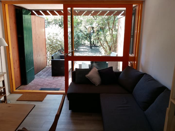 Claouey Joli Studio   Au Milieu Des Pins - Lège-Cap-Ferret