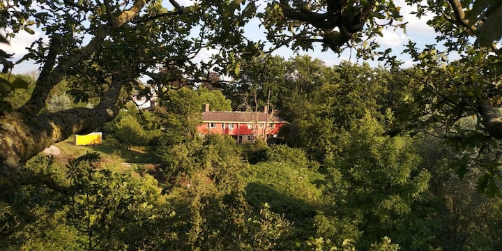 Fijne Groepsaccomodatie In De Natuur - Zutphen