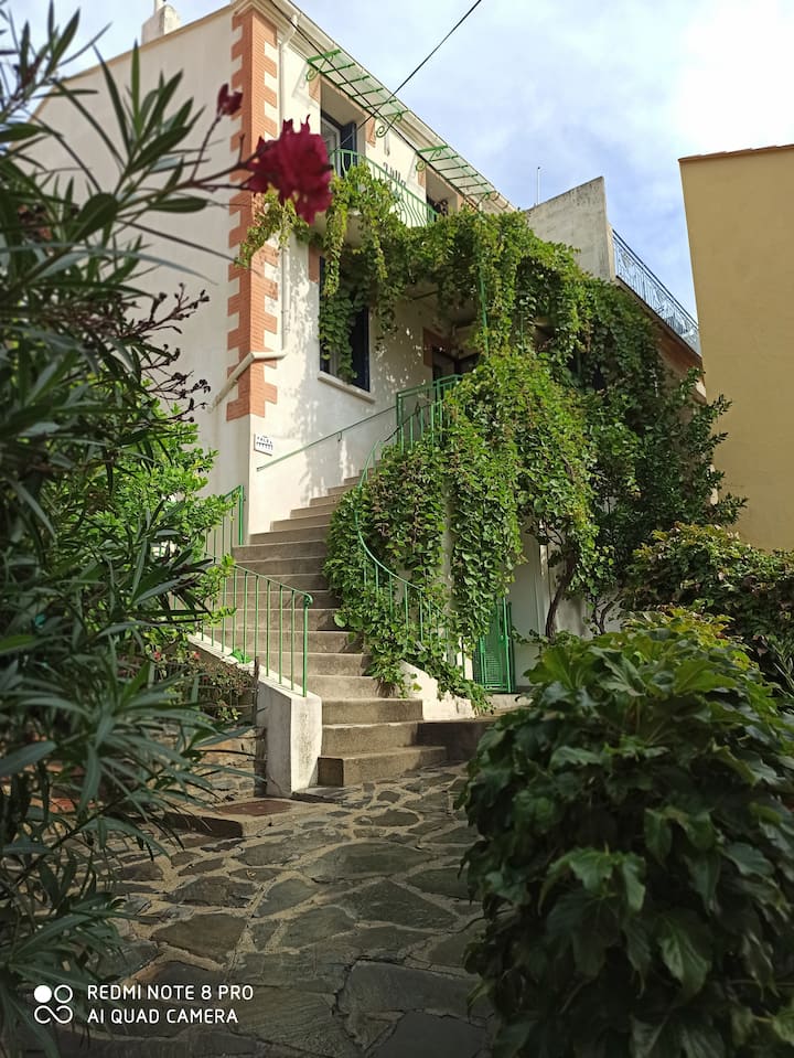 Villa Lea Au Cap Doune à Banyuls Sur Mer - Banyuls-sur-Mer