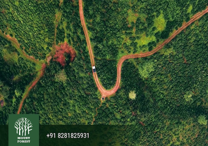 Mount Forest Wayanad - Kerala
