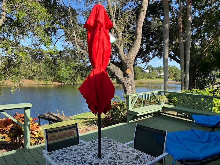 Florida Dreaming Home Away From Home - Clearwater, FL