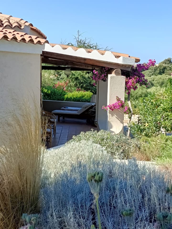 Villa Di Charme Immersa Nel Verde - Santa Teresa Gallura