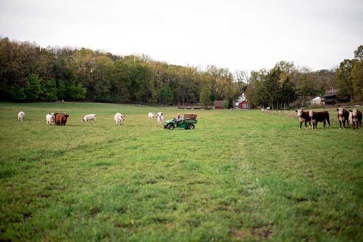 Top 10 Ranches To Stay In Wisconsin, USA | Trip101