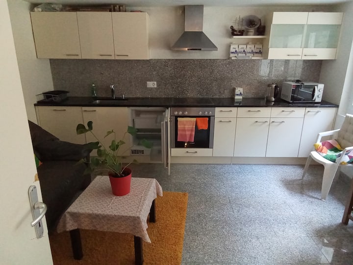 Petite Chambre/ Magnifique Villa - Lausanne