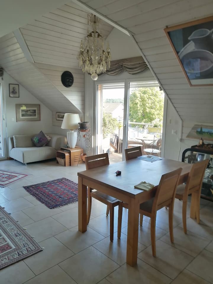 Beautiful 2 Bedroom Flat - One Family At A Time - Morges