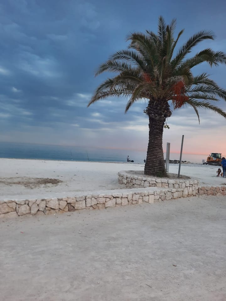 Bel Appartement 3 Pieces, 1.5 Km Des Plages - Cagnes-sur-Mer