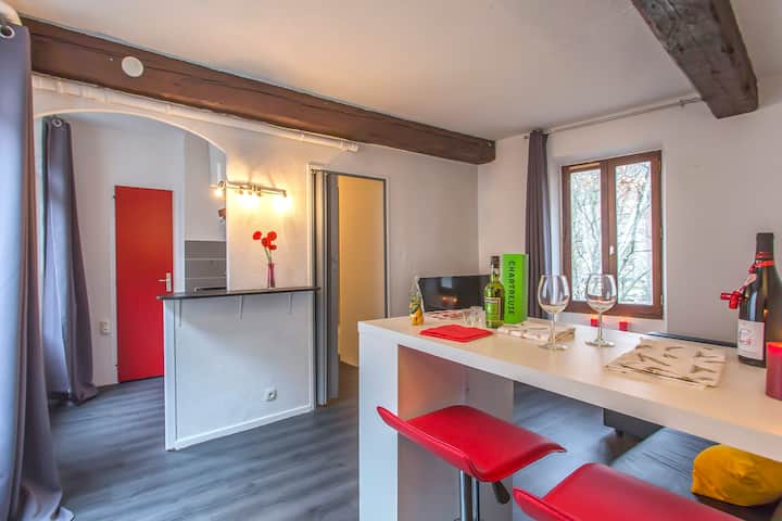A 4 Mn De Grenette   
     ! Studio Central ! - Grenoble