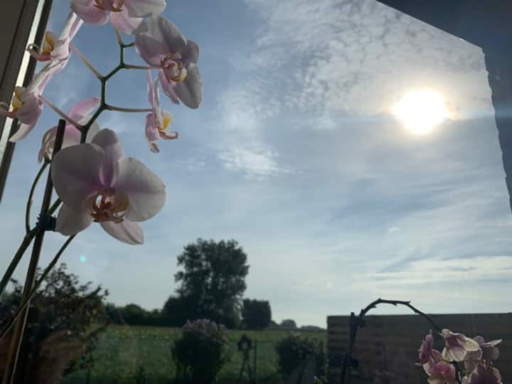 Weekend Weg Naar Een Stukje Hemel Op Aarde... - De Haan