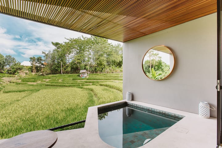 Spacious Luxury Apt With Private Pool | Central - Canggu