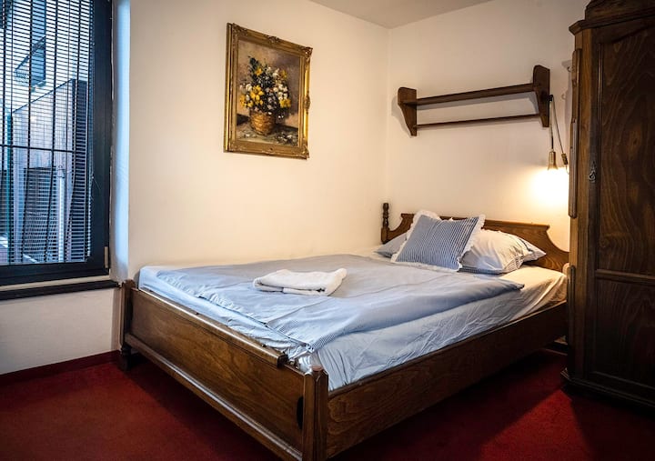 Castle View Single Room In Slovak Art Villa - Bratislava