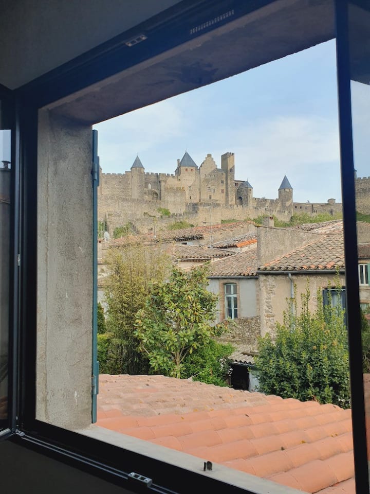 Maison Avec Jardin Au Pied De La Cité Médiévale - 卡爾卡松