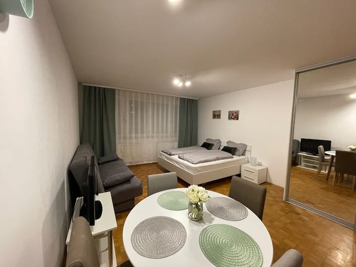 Apartment Green - Grey - Liubliana