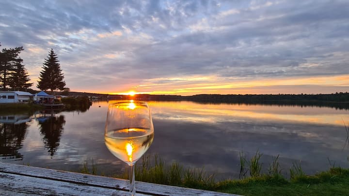 Zinipi Eisvogel Neubäuer See - Roding