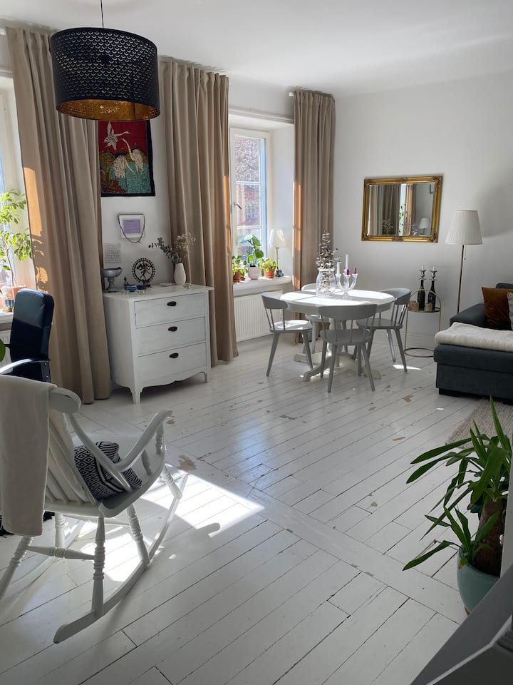 Lovely Condo In The Centre Of Malmö - Malmö